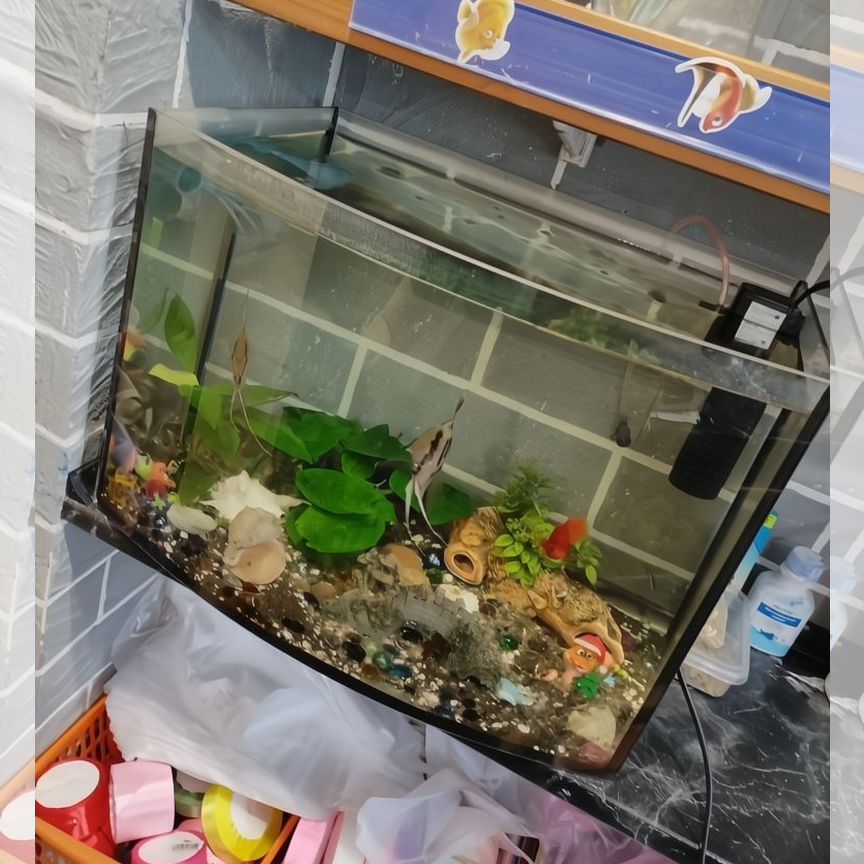 Аквариум с рыбками