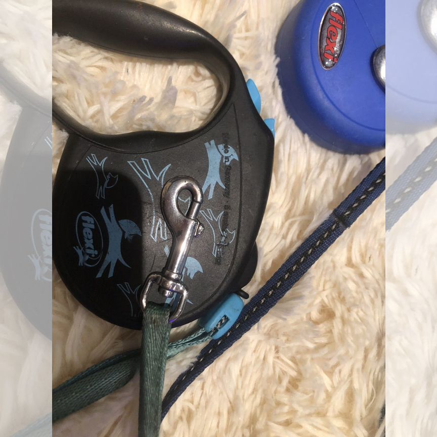 Рулетка для собаки flexy