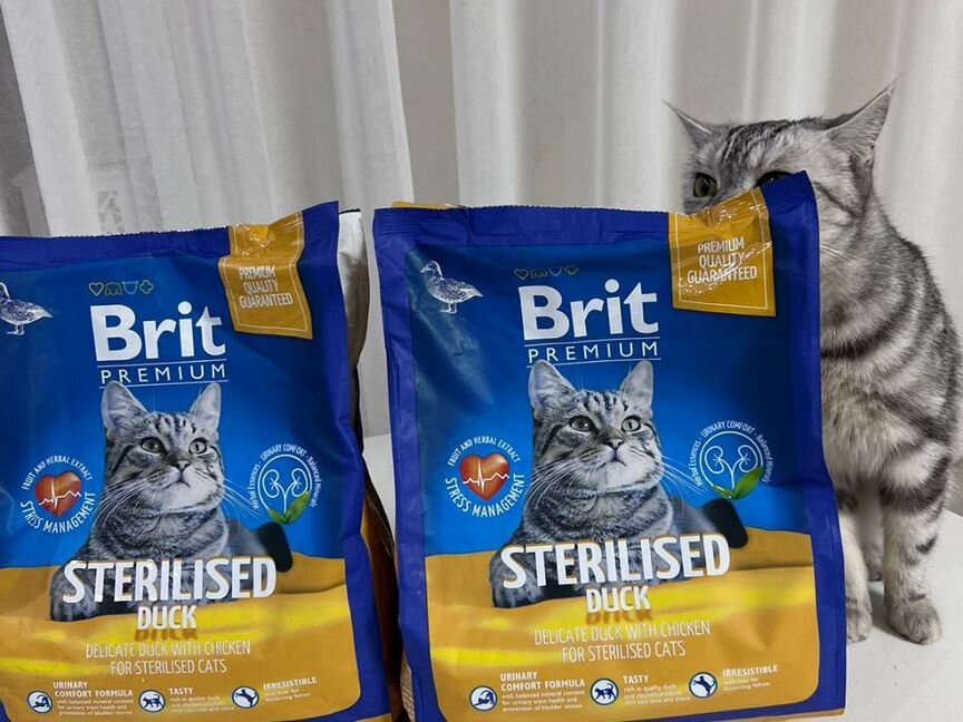Сухой корм Brit Premium Cat Sterilised, 2 кг