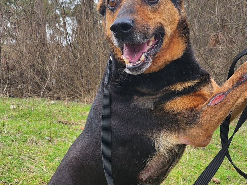 Марточка ждет семью