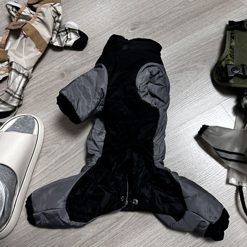 Одежда для собак