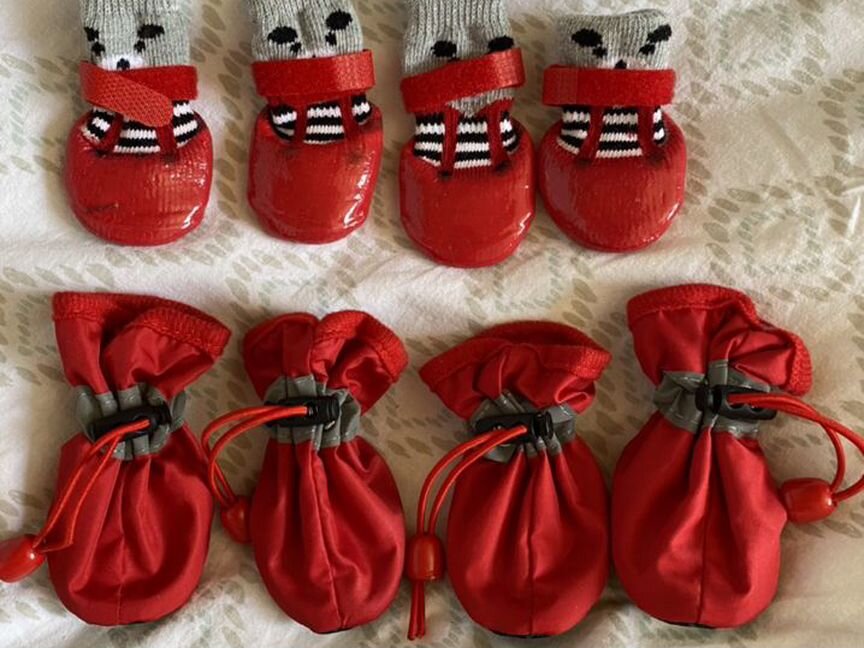 Обувь для собак