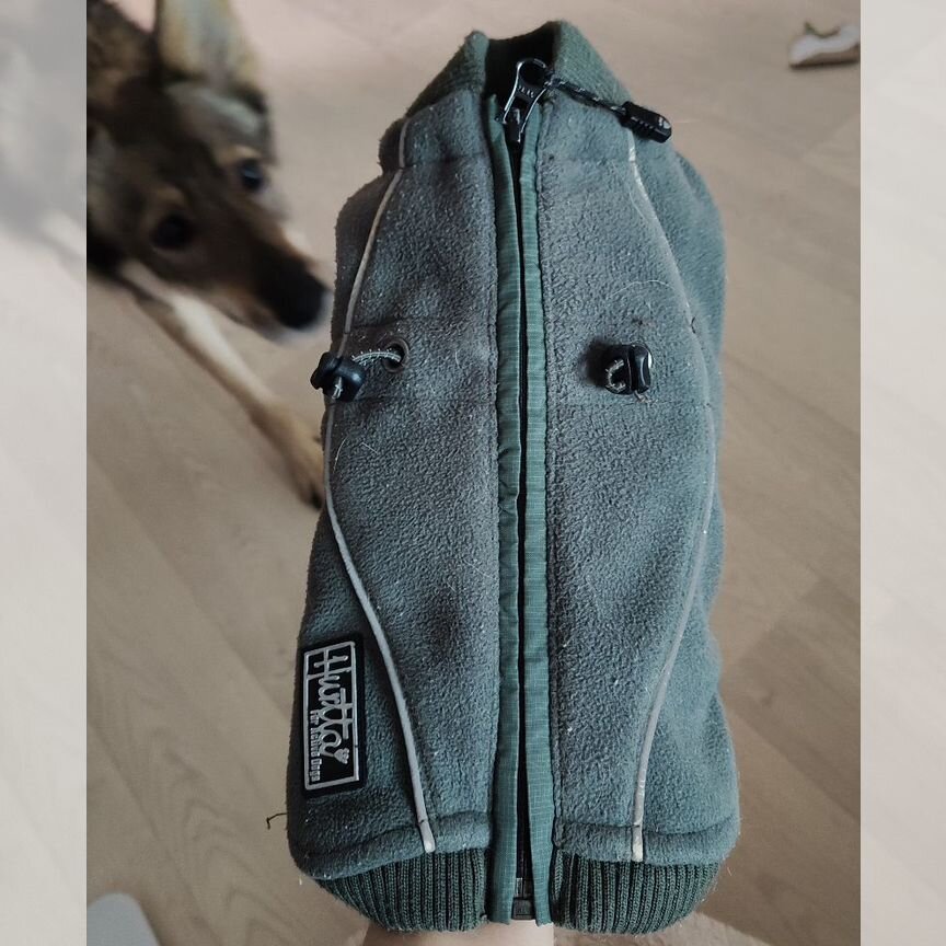 Комбинезон для маленькой собаки