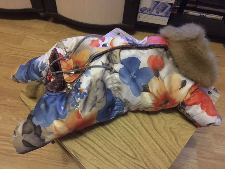 Костюм для мини-собачки