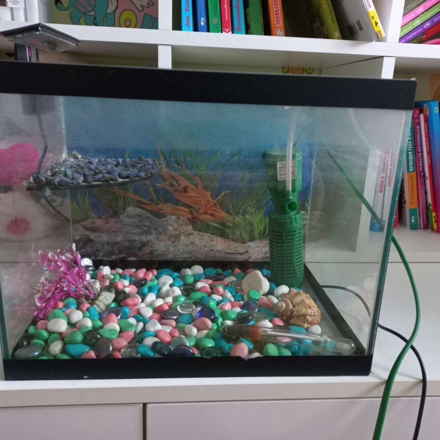 Фильтр для аквариума, лампа