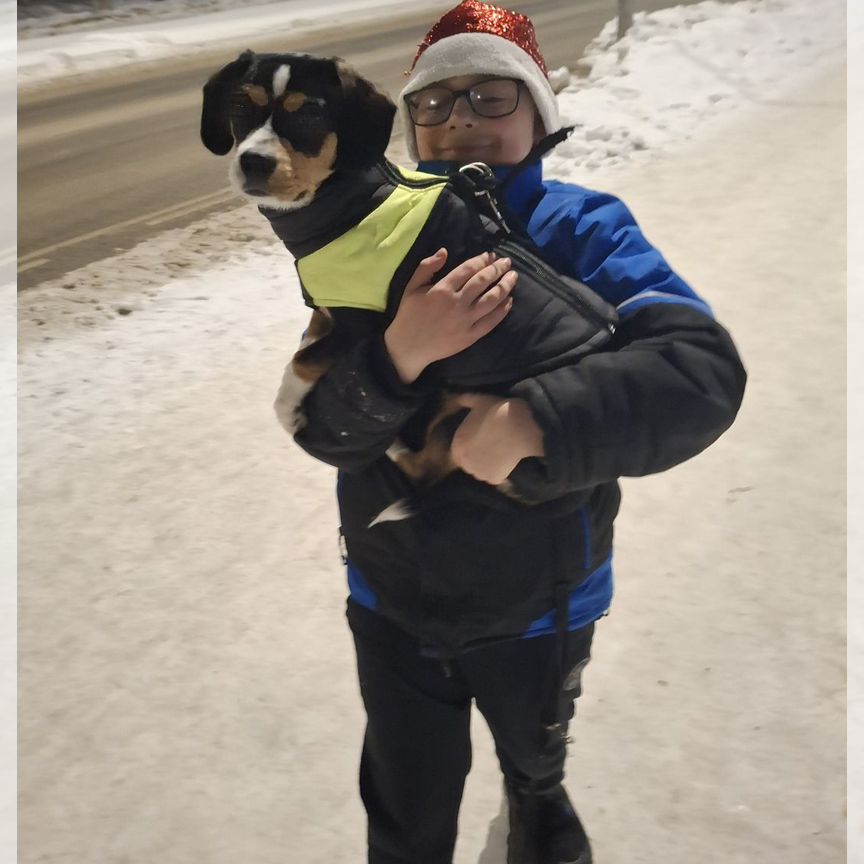 Щенок в добрые руки