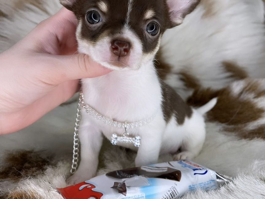 Супер мини мальчишка