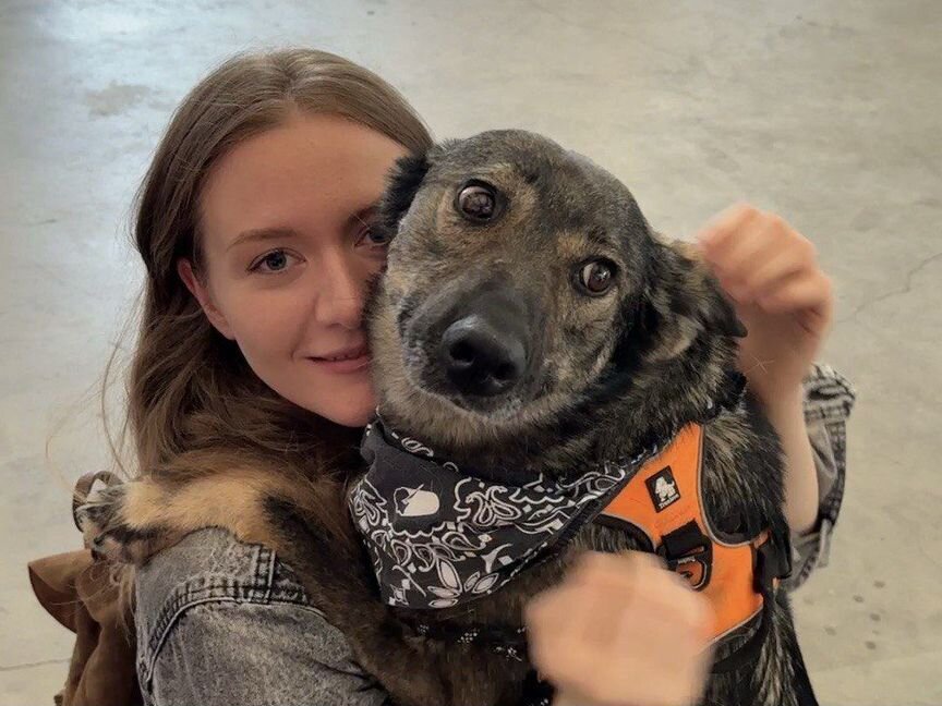 Очаровательная Гренка оказалась в приюте