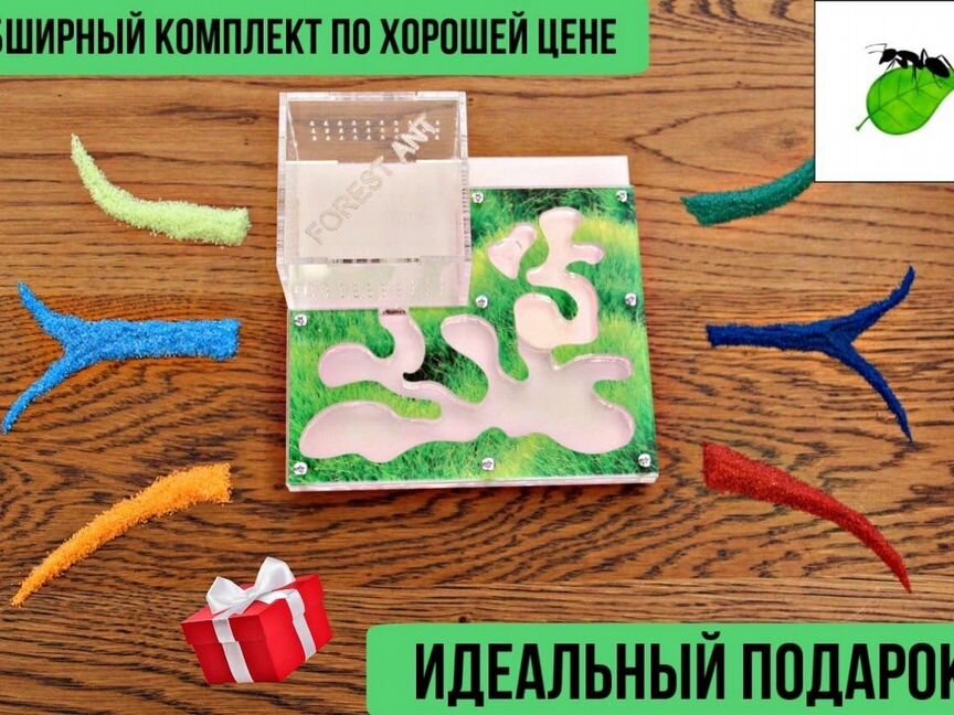 Муравьиная ферма новая ForestAnt