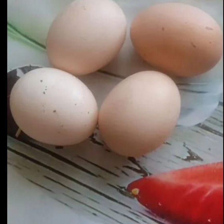 Яйца