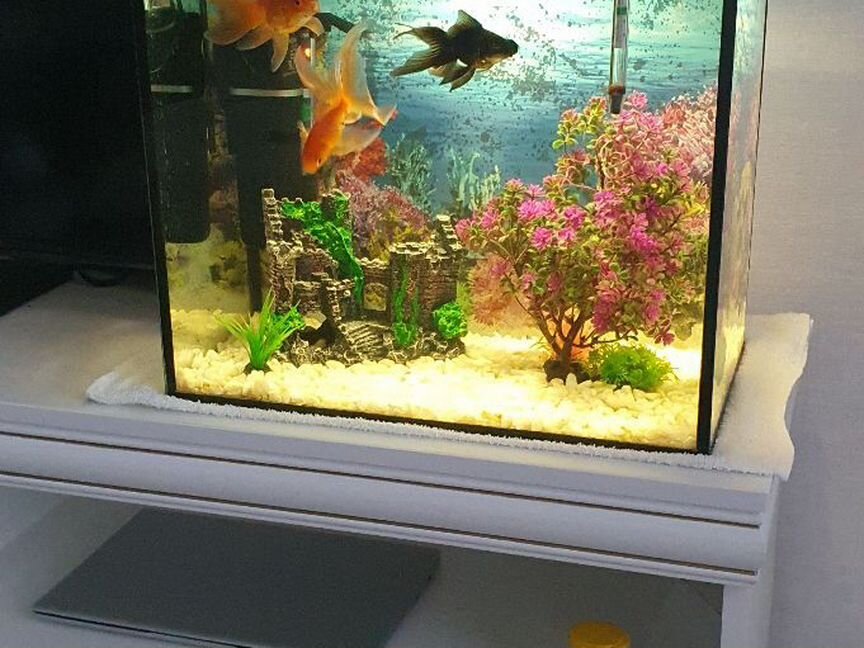 Аквариум