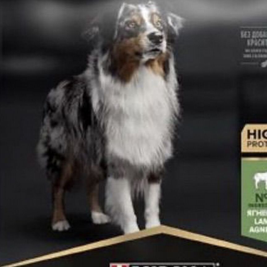 Корм для собакpurina ProPlan
