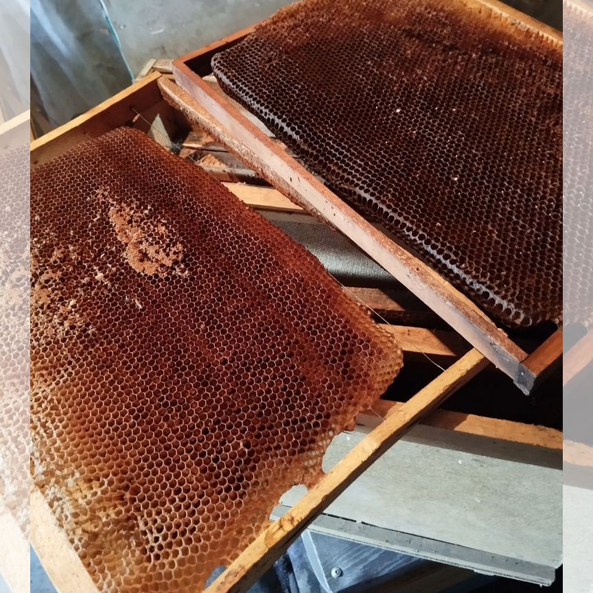 Улий,суш, медогонка