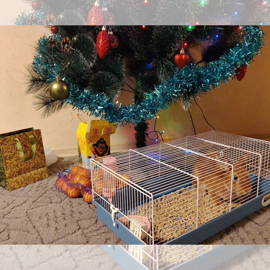 Клетка для грызунов