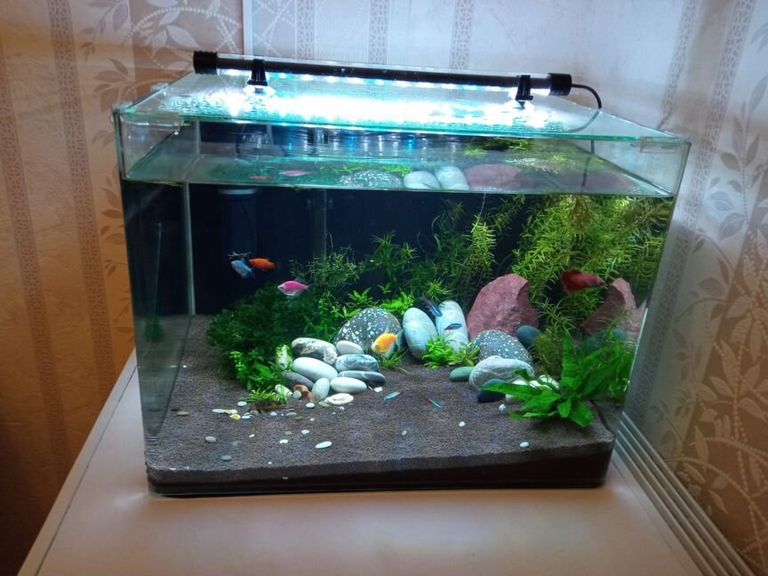 Аквариум dennerle tank 55 л