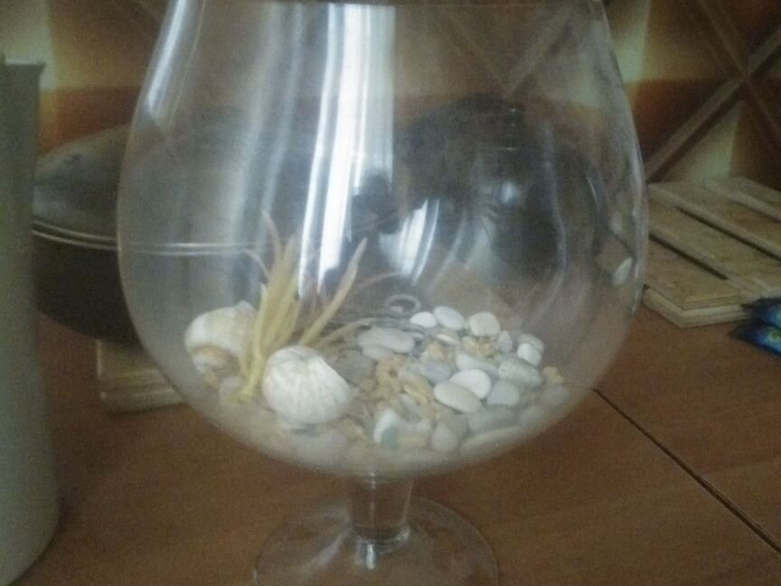 Большой бокал аквариум с камнями и ракушками 3л