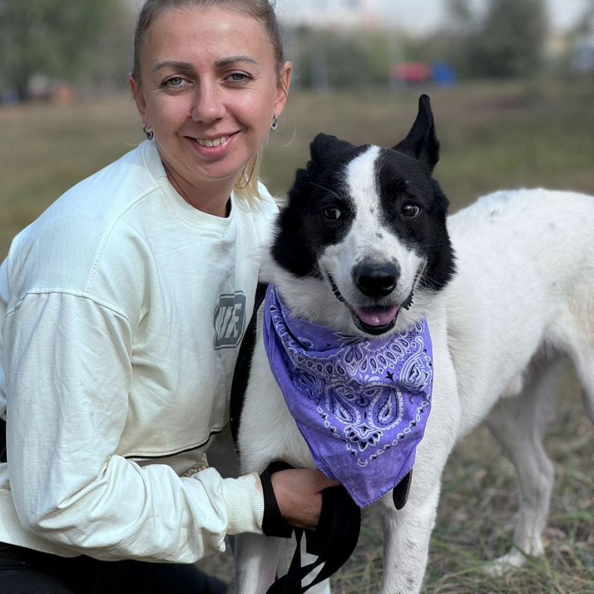 Бим-добрый и нежный пёс в добрые руки