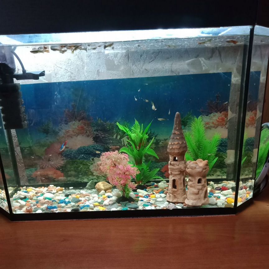 Аквариум полный комплект