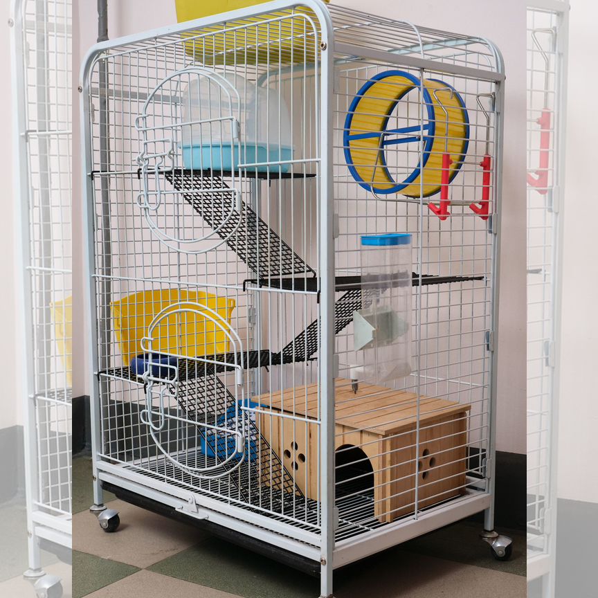 Клетка для крыс дегу шиншилл хорьков