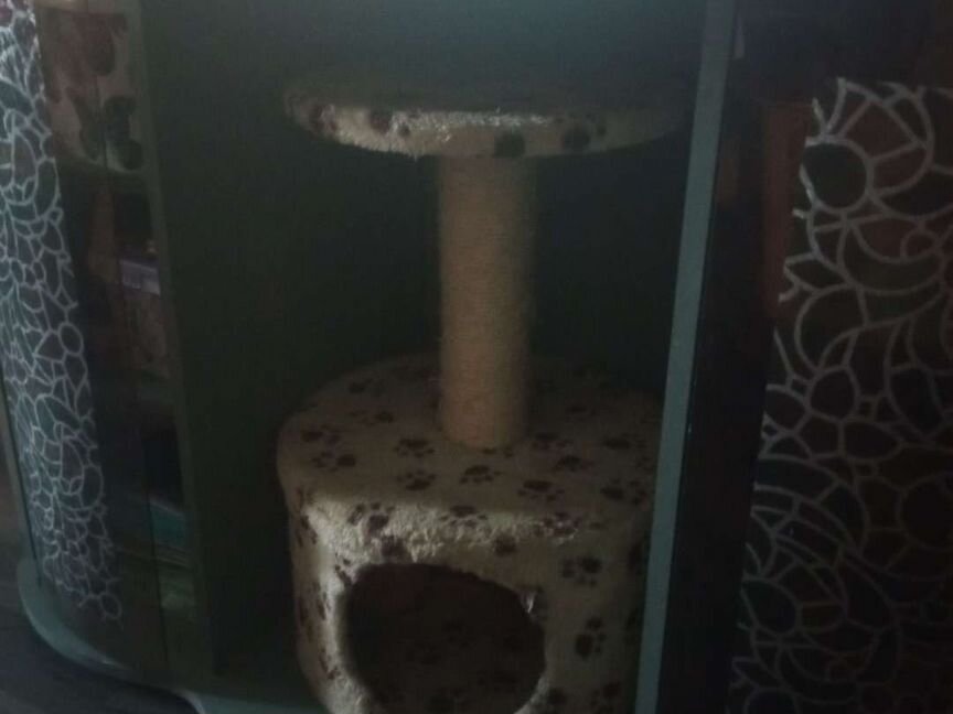 Когтеточка домик для кошки бу