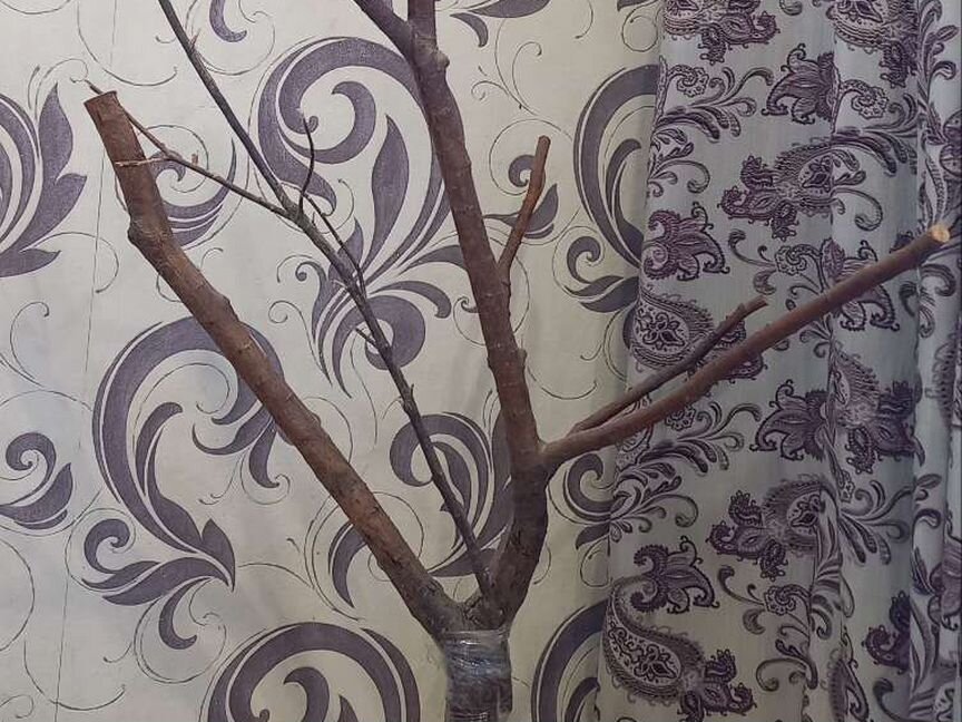 Посад (насест, дерево) для попугая