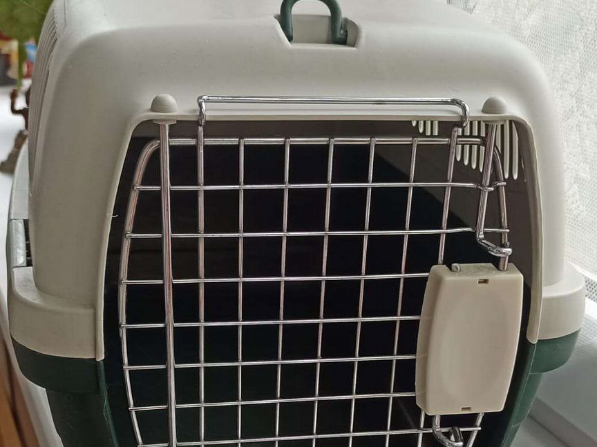 Переноска для животных в аренду