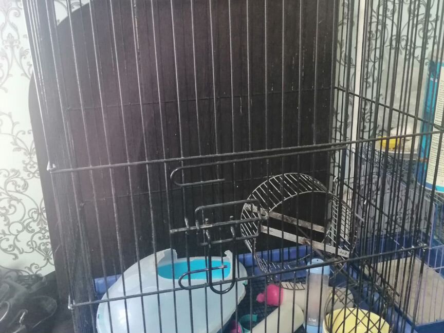 Большая клетка, кукурузный наполнитель и песок