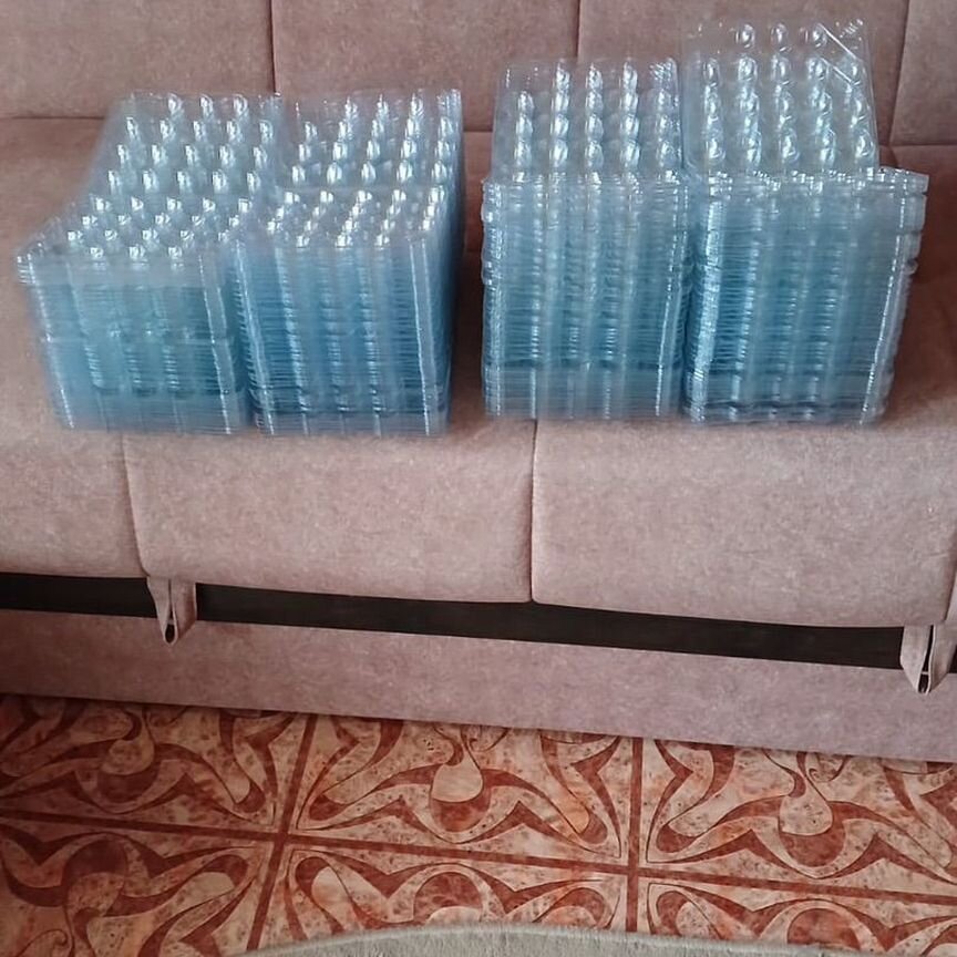 Контейнеры для перепелиных яиц