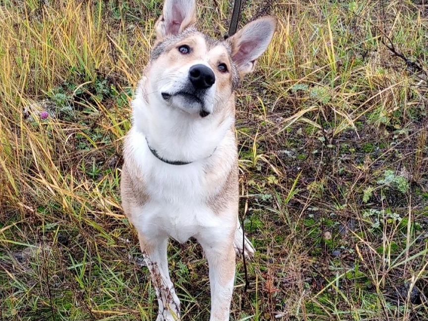 Тоша ждёт свою семью