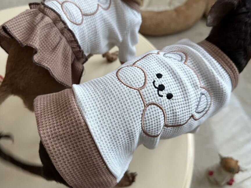 Рубашка для маленькой собаки