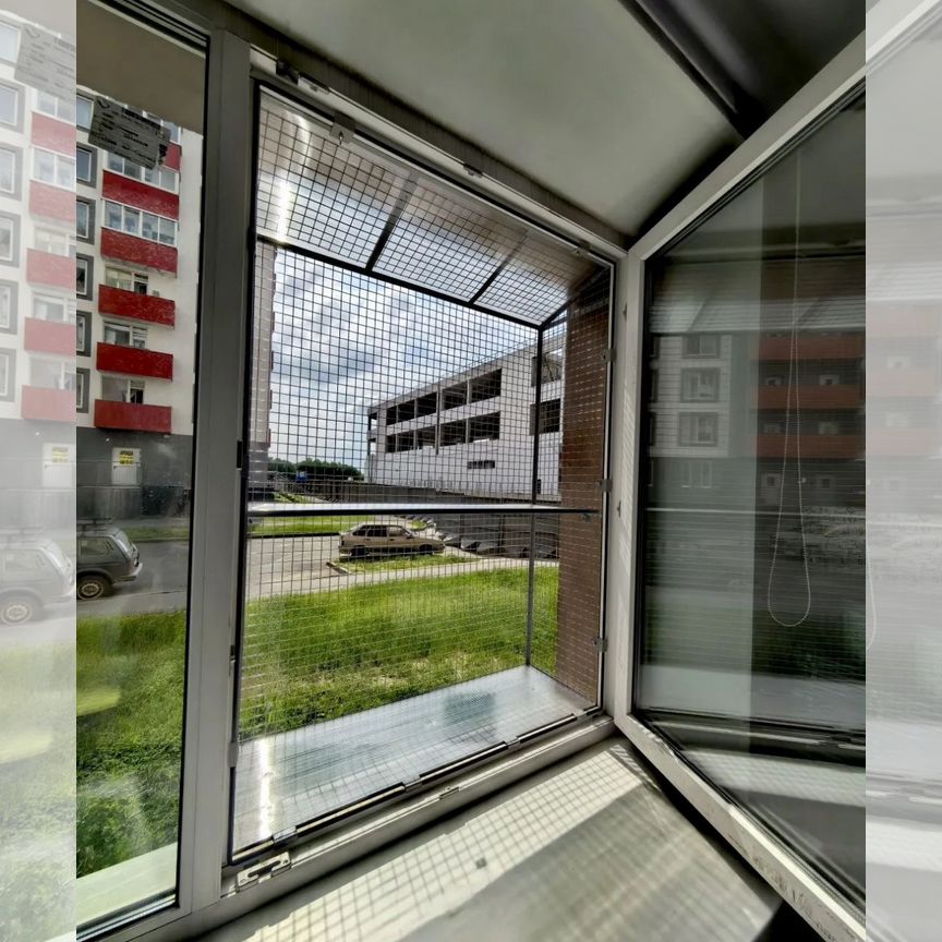 Вольер - балкончик для кошки. Антикошка для кошки