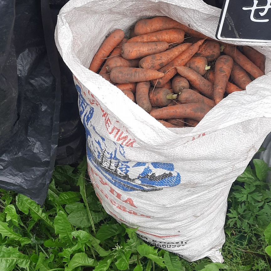 Продукты на корм животным