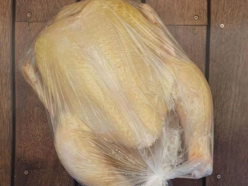 Домашние куры бройлеры