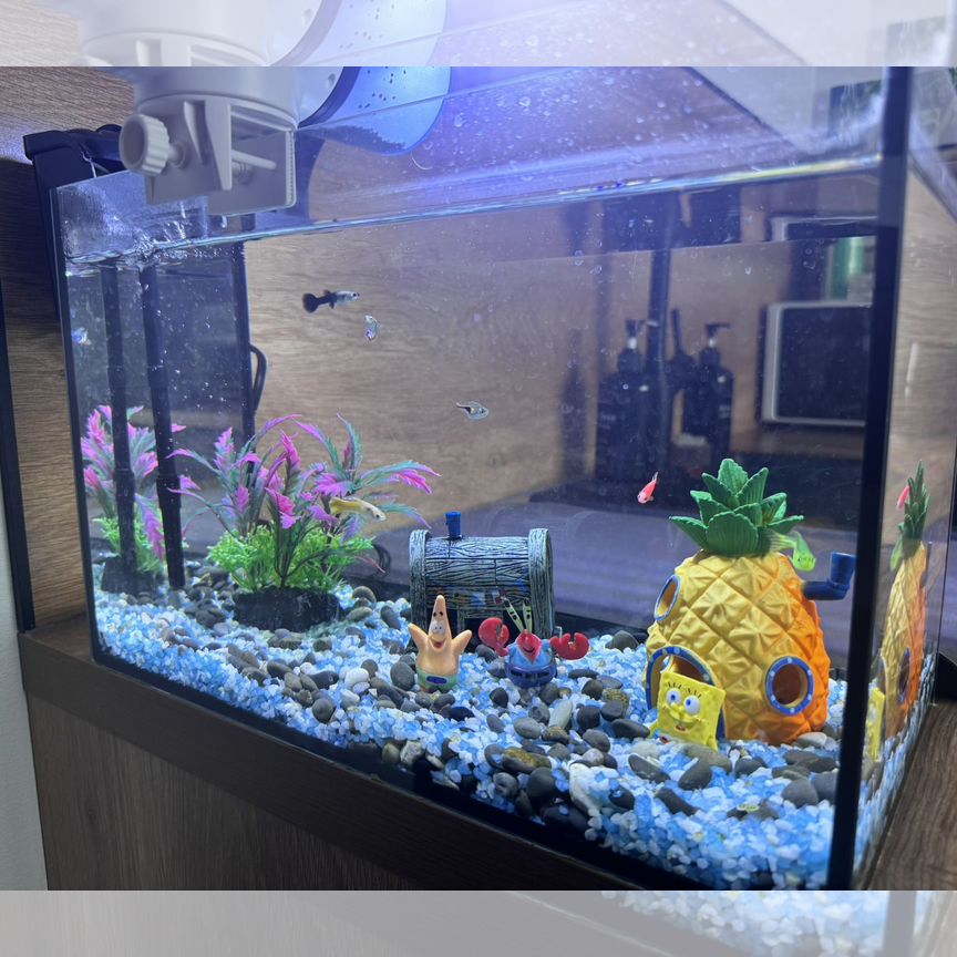 Аквариум 20 литров с рыбками