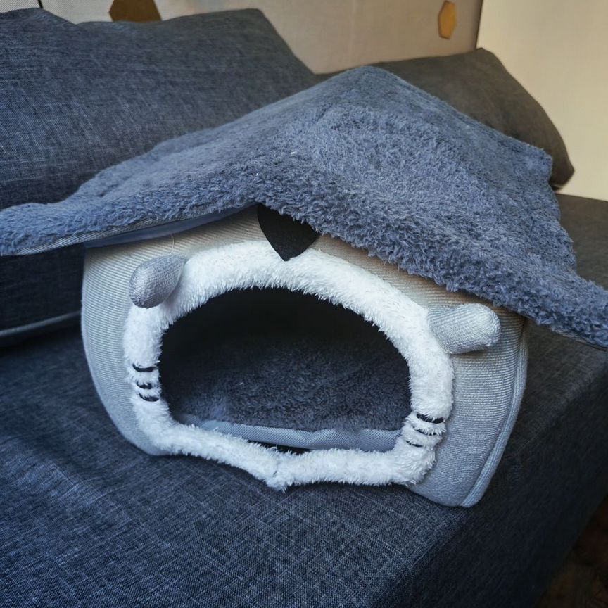 Домик для кошек и собак