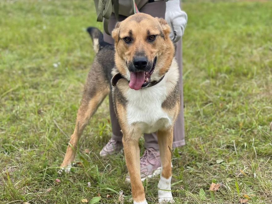 В поисках любви и дома