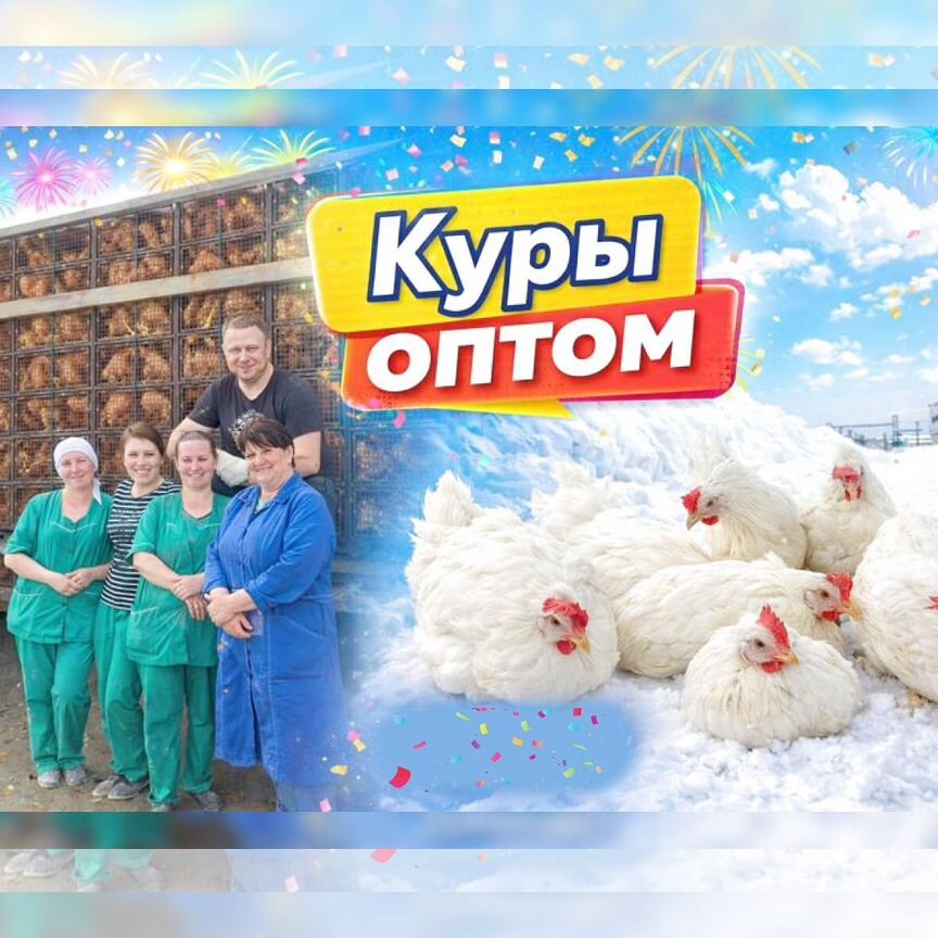 Куры Доставка Молодка