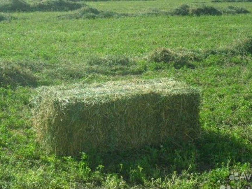 Тюкую сено солому