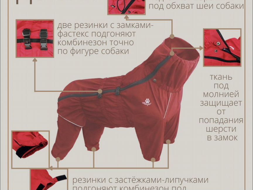 Новый комбинезон для собаки Asmpet