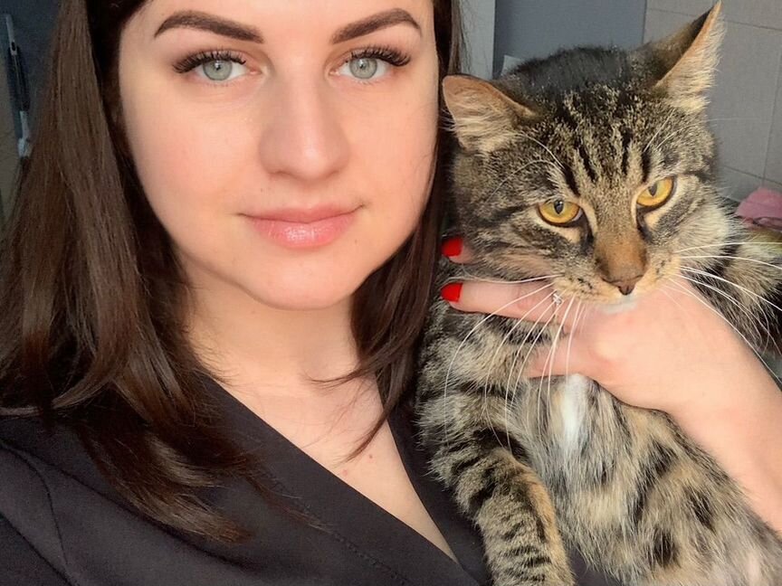 Котики в добрые руки