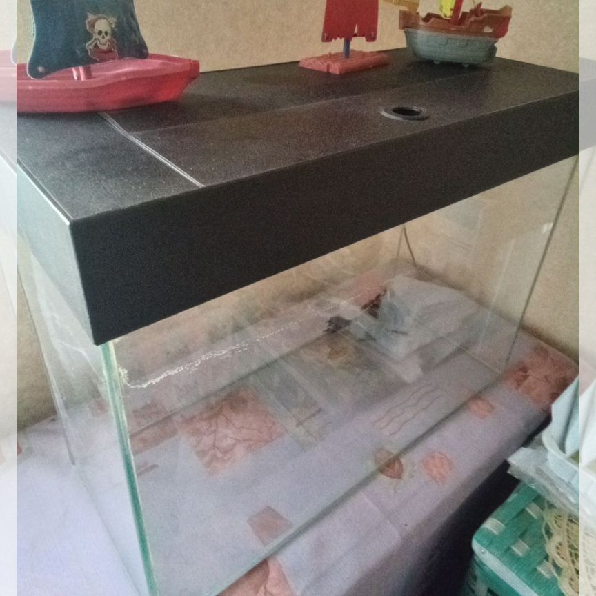 Аквариум, 23х44х60см, 60 литров