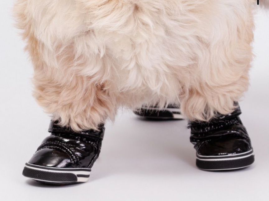 Пинетки-дутики ботиночки для собаки