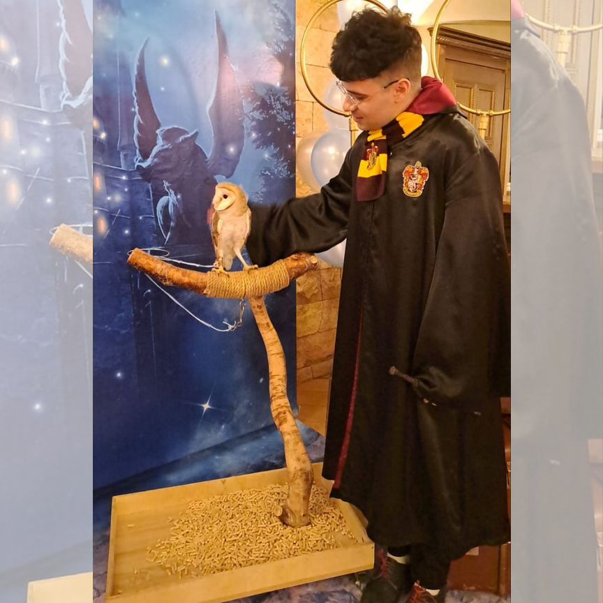 Присяд для совы или попугая