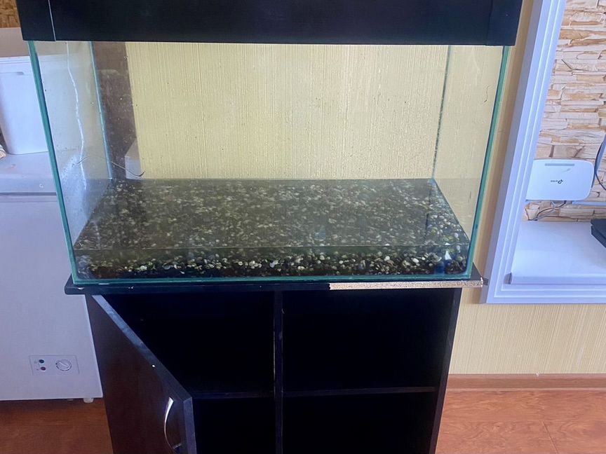 Аквариум с тумбой 140л с грунтом. Готов к переезду