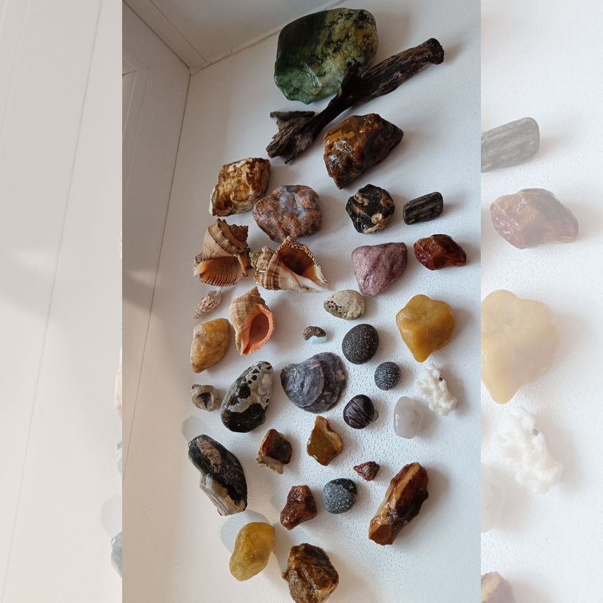 Камни, коряга, ракушки