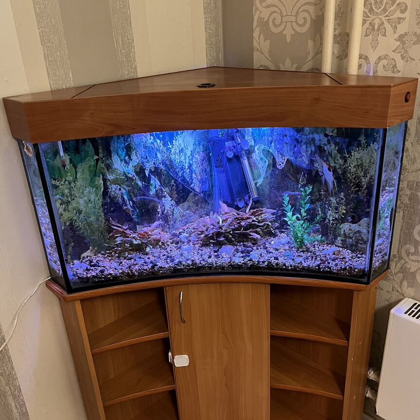 Аквариум с тумбой