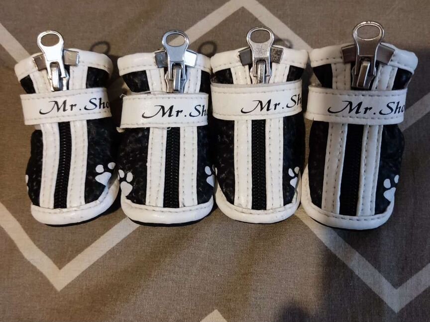 Обувь для собак мелких пород 1