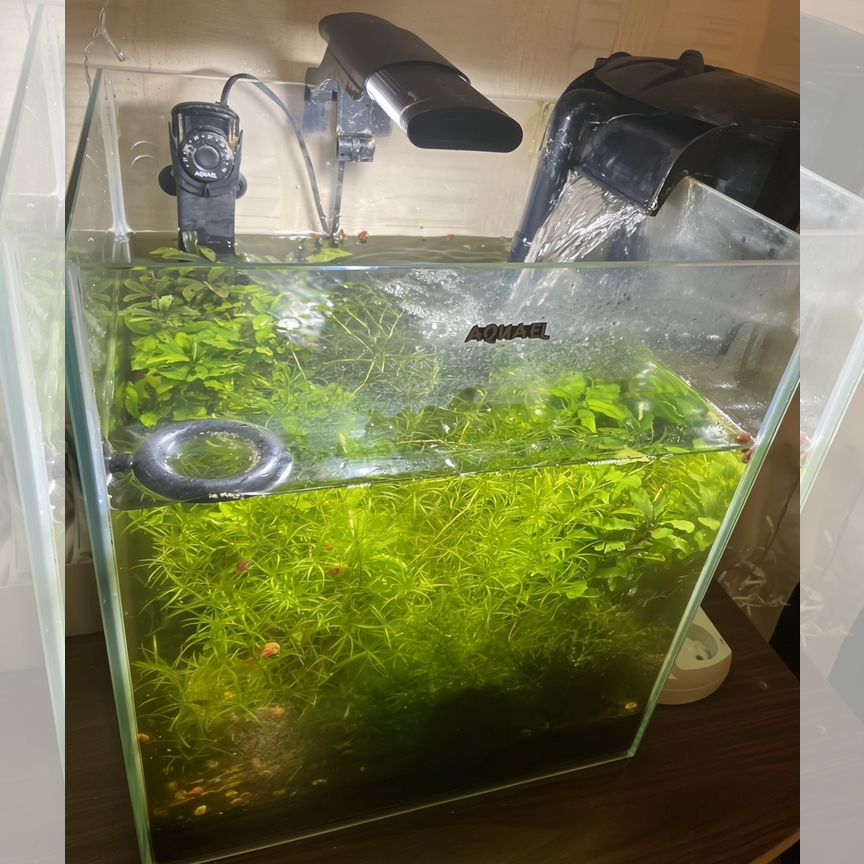 Аквариум aquael