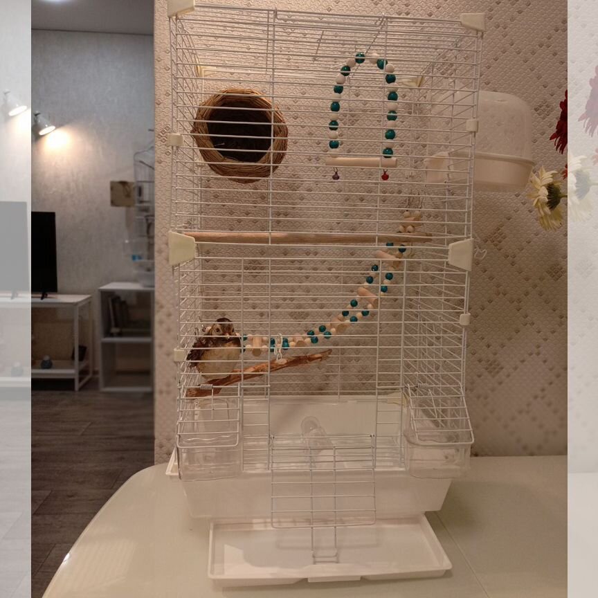 Клетка для попугая