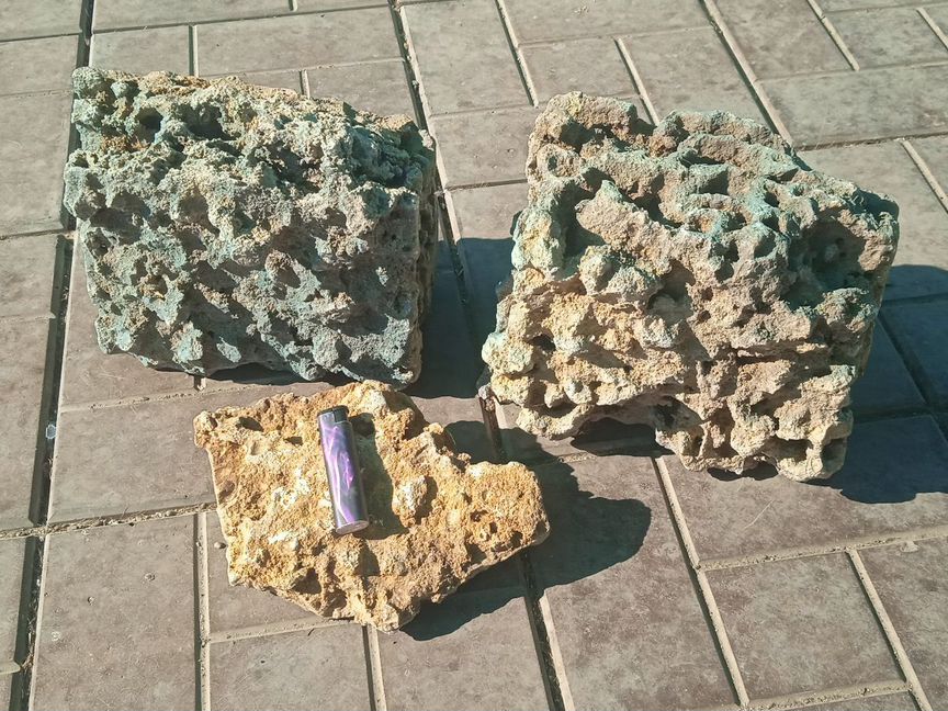 Камни ракушечник для аквариума